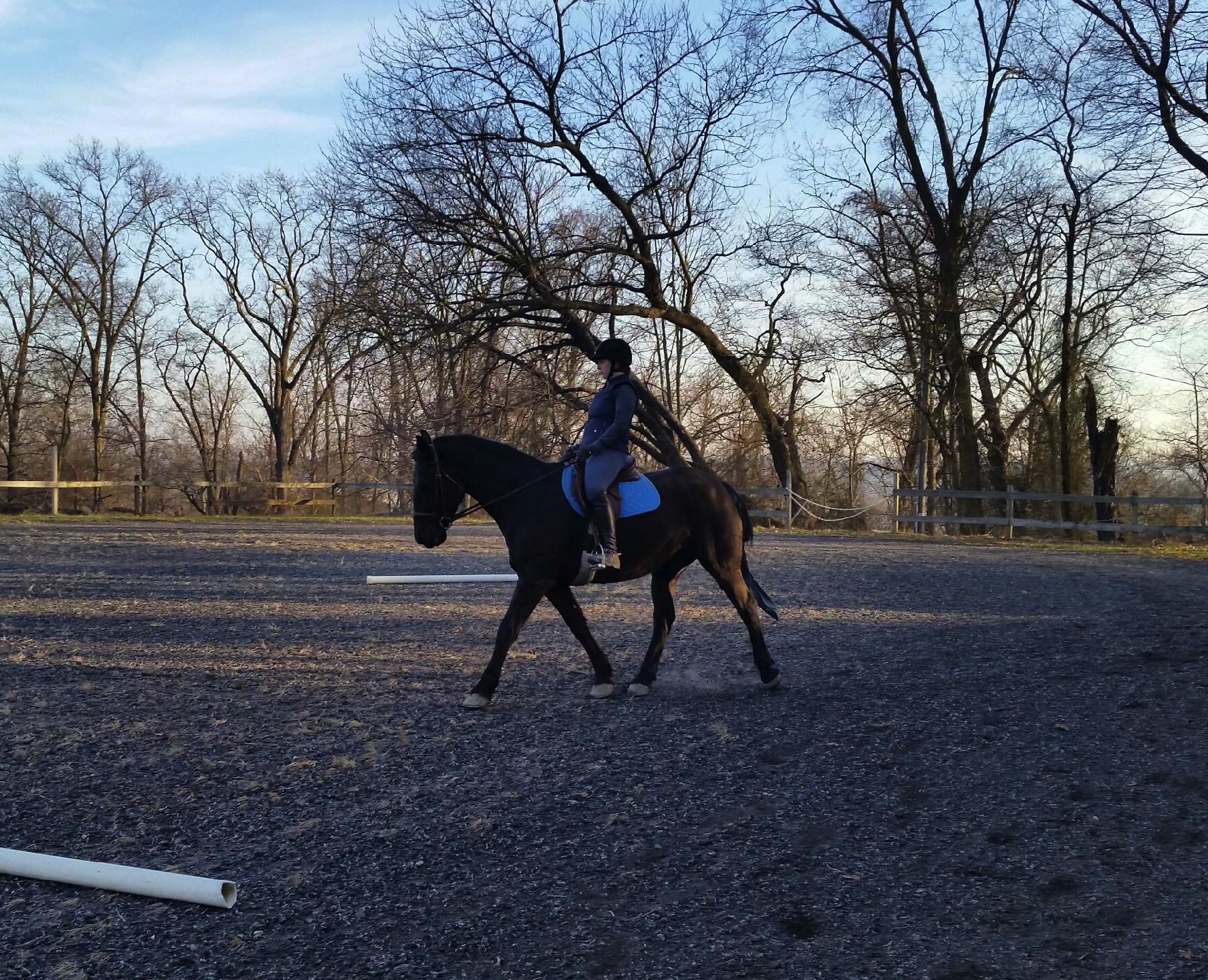 12207 | Windswept Stables